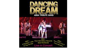 Chelmsford Community Education: Dancing Dream: Abba Tribute Band